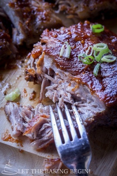 Fall Off the Bone Pork Ribs - Let the Baking Begin!