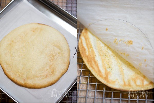 Tres Leches Cake (Milky Cake - Let the Baking Begin!