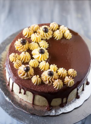 Bird's Milk Cake Recipe (Ptichye Moloko) - Let the Baking Begin!