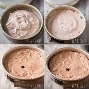 Bird's Milk Cake Recipe (Ptichye Moloko) - Let the Baking Begin!