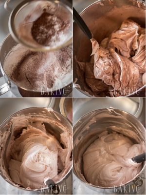 Bird's Milk Cake Recipe (Ptichye Moloko) - Let the Baking Begin!