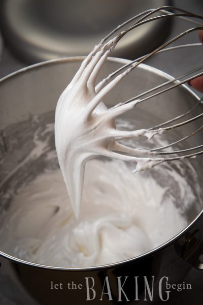 Basic Macarons Recipe - Italian Meringue Method - Let the Baking Begin!