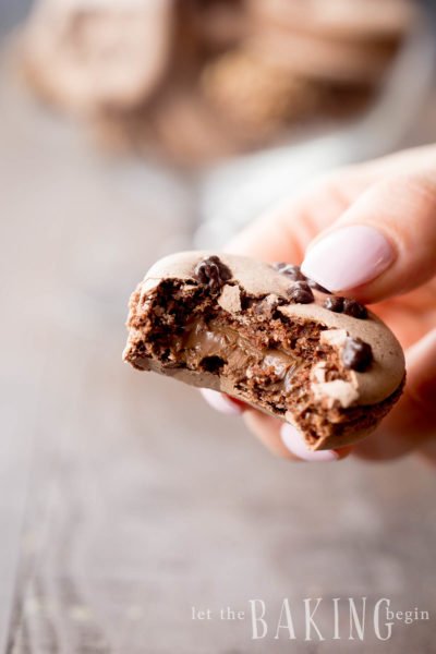 Hazelnut Macarons - Let the Baking Begin!