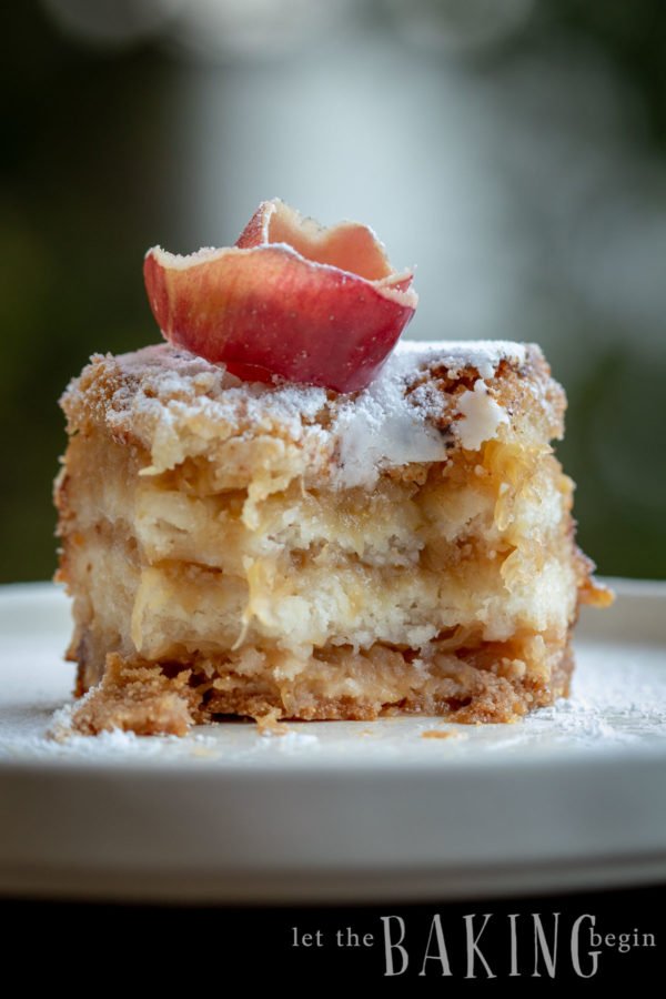 Quick Apple Cake - Let the Baking Begin!