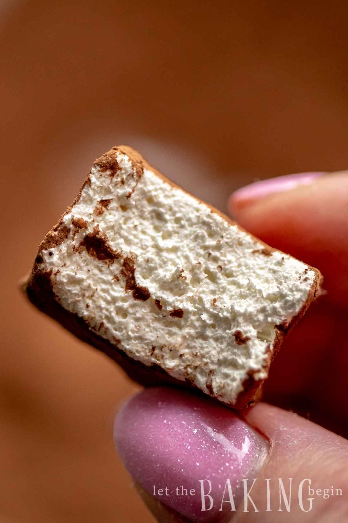 Homemade Marshmallow - Ptichye Moloko - Let the Baking Begin!