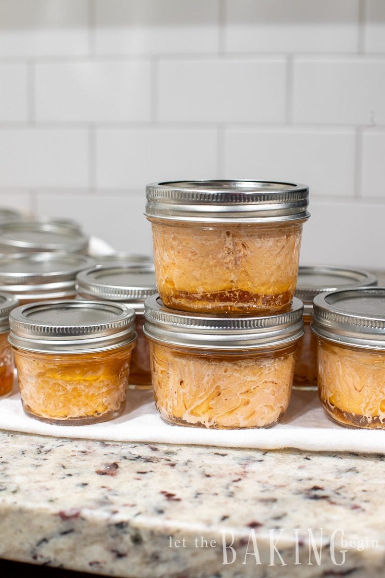 Canned Salmon Recipe - Easier than you think! - Let the Baking Begin!