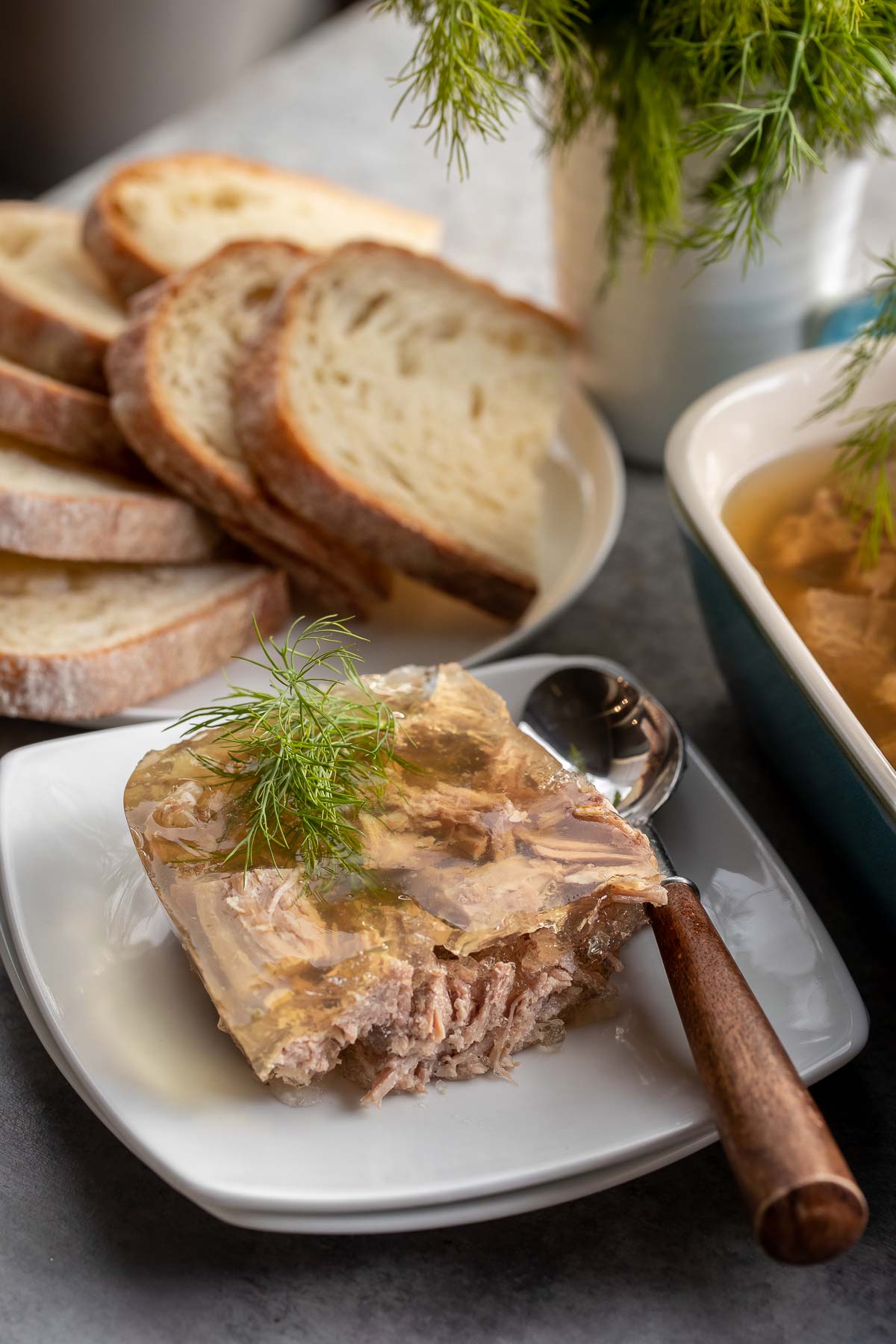 Aspic Meat Recipe From Beef Gelatin - Avery Againt35