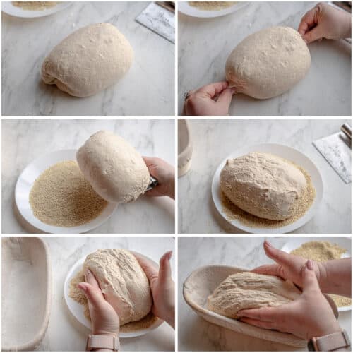 How To Make Sourdough Bread: A thorough Step By Step Guide - Let the ...